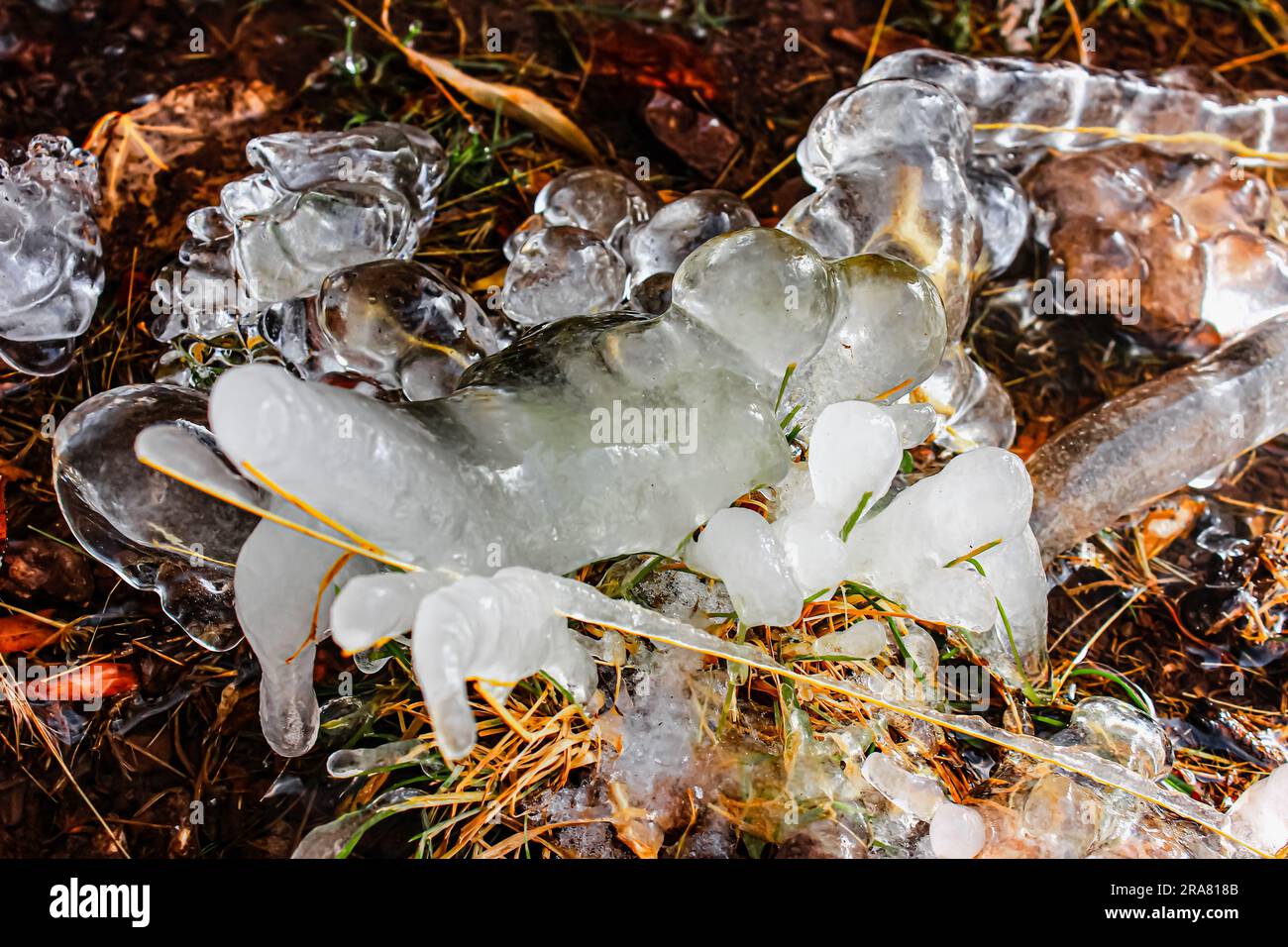 Winter valley of frozen mountain stream covered with ice and snow in ...