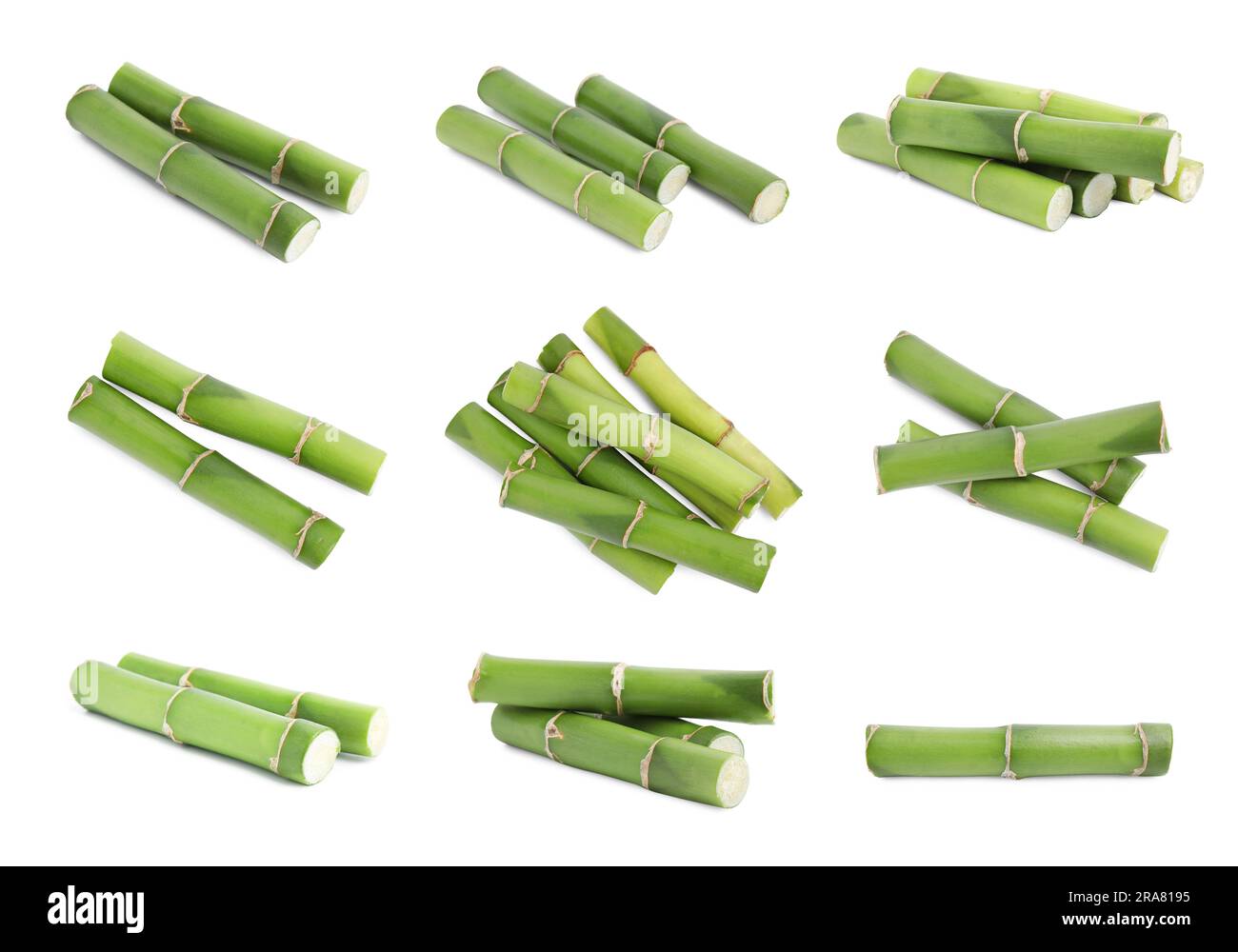 Collage with cut green bamboo stems on white background Stock Photo - Alamy