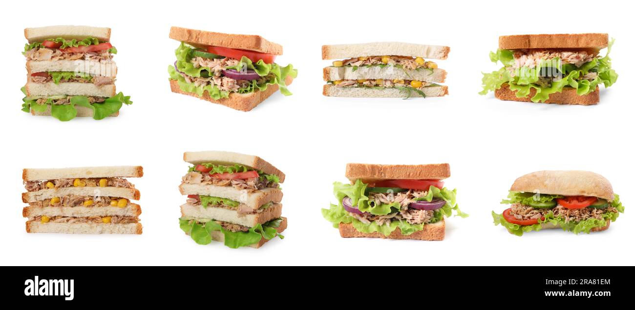 Collage of different delicious sandwiches with tuna on white background ...
