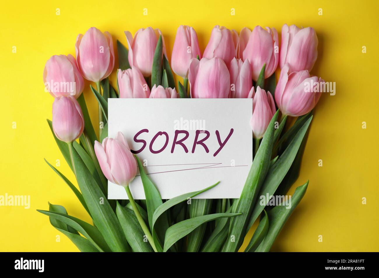Thank you note with pink tulips hi-res stock photography and images - Alamy