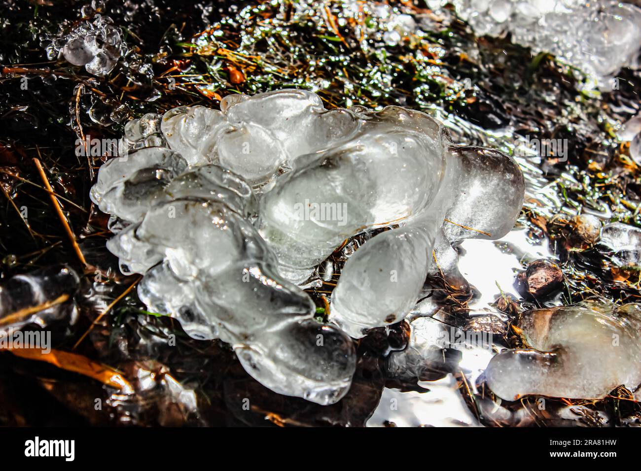 Winter valley of frozen mountain stream covered with ice and snow in ...