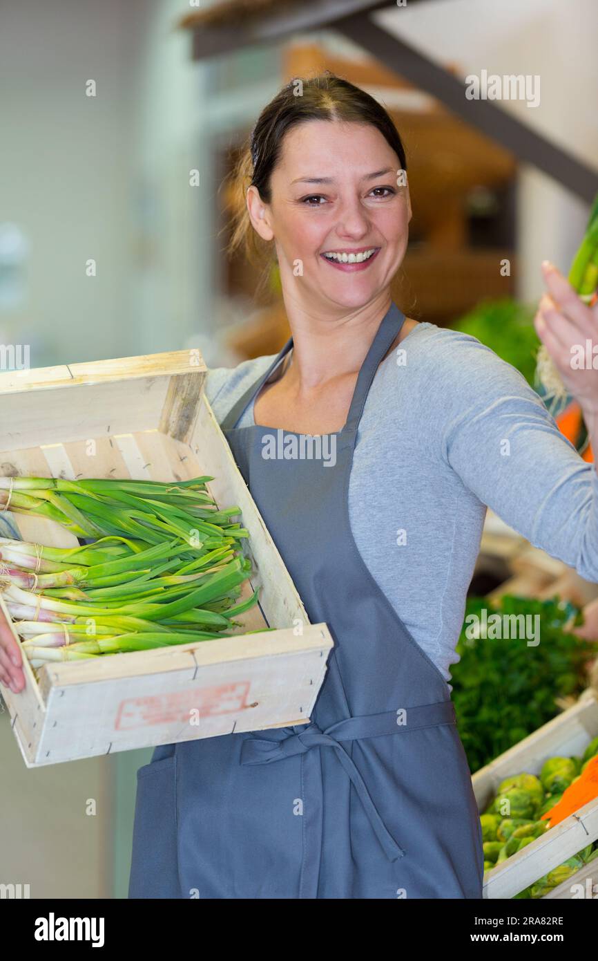 Vegetables basket slate hi-res stock photography and images - Alamy