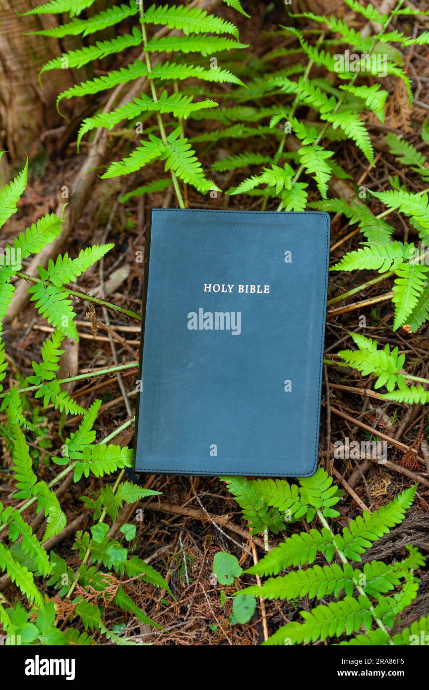 Holy bible green hi-res stock photography and images - Alamy