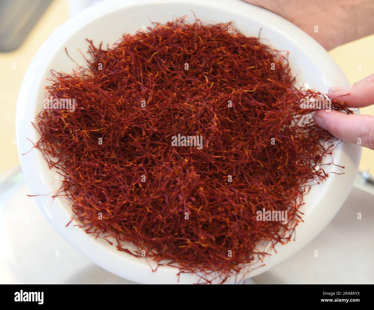 Andrea wandel hi-res stock photography and images - Alamy