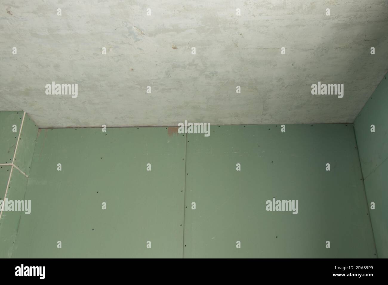 green drywall wall in the room during renovation, apartment renovation ...