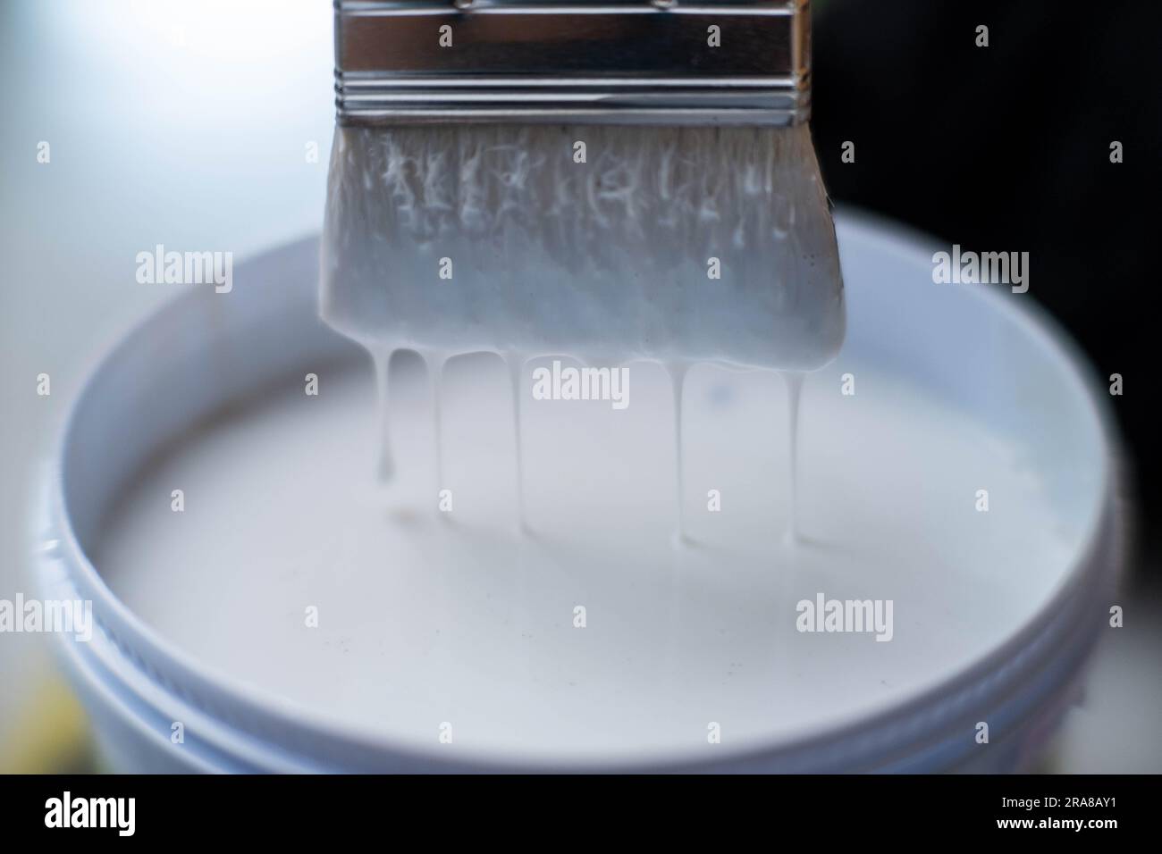 Paint brushes and water-based colorless lacquers Stock Photo - Alamy