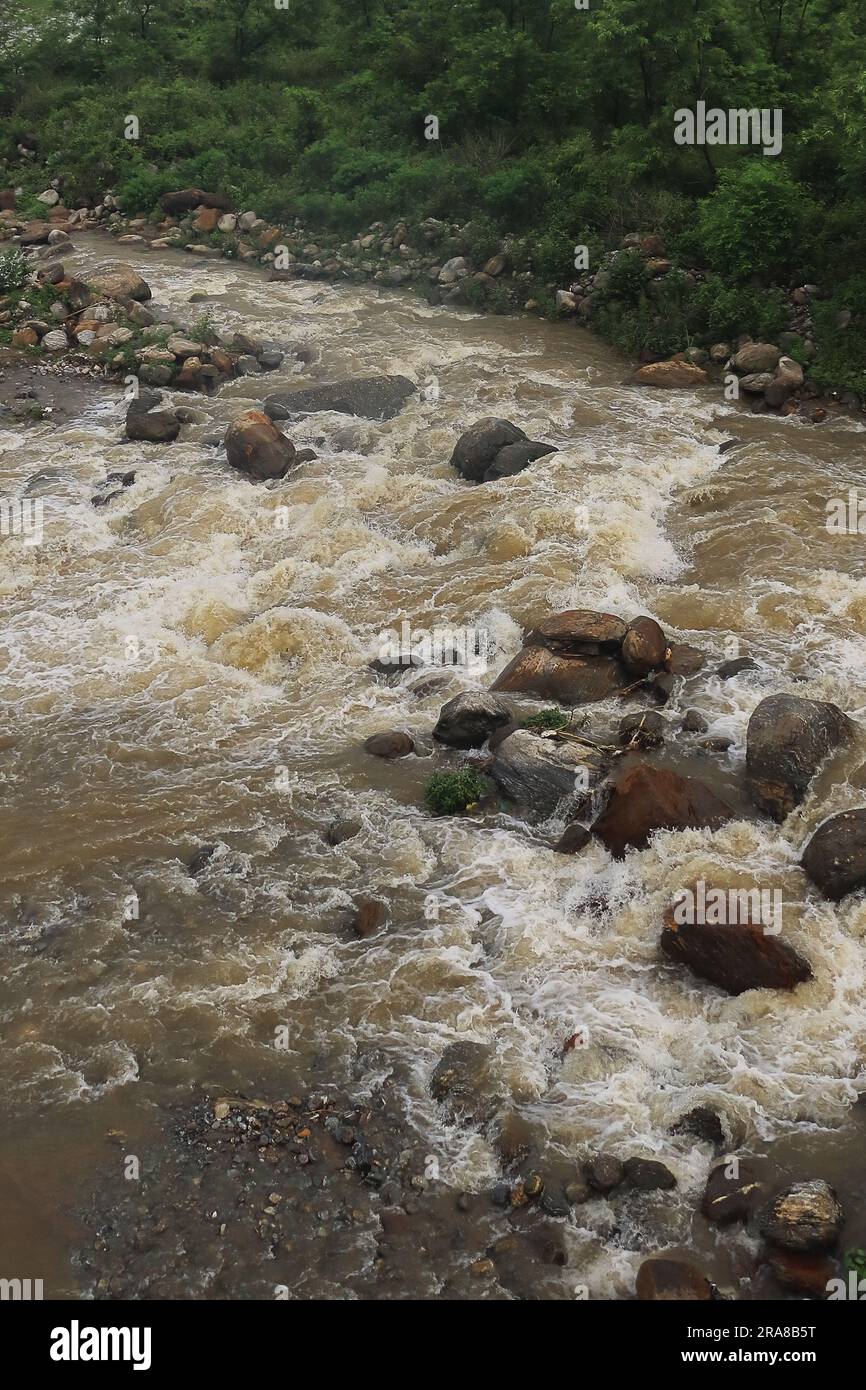 beautiful river valley, flowing stream, forest and himalaya foothills ...