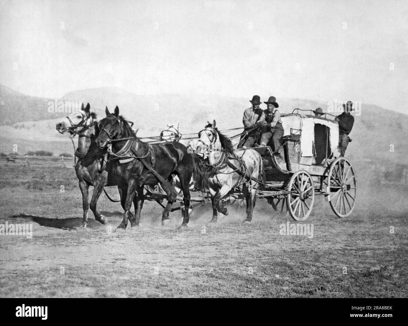 Stagecoach team horses hi-res stock photography and images - Alamy