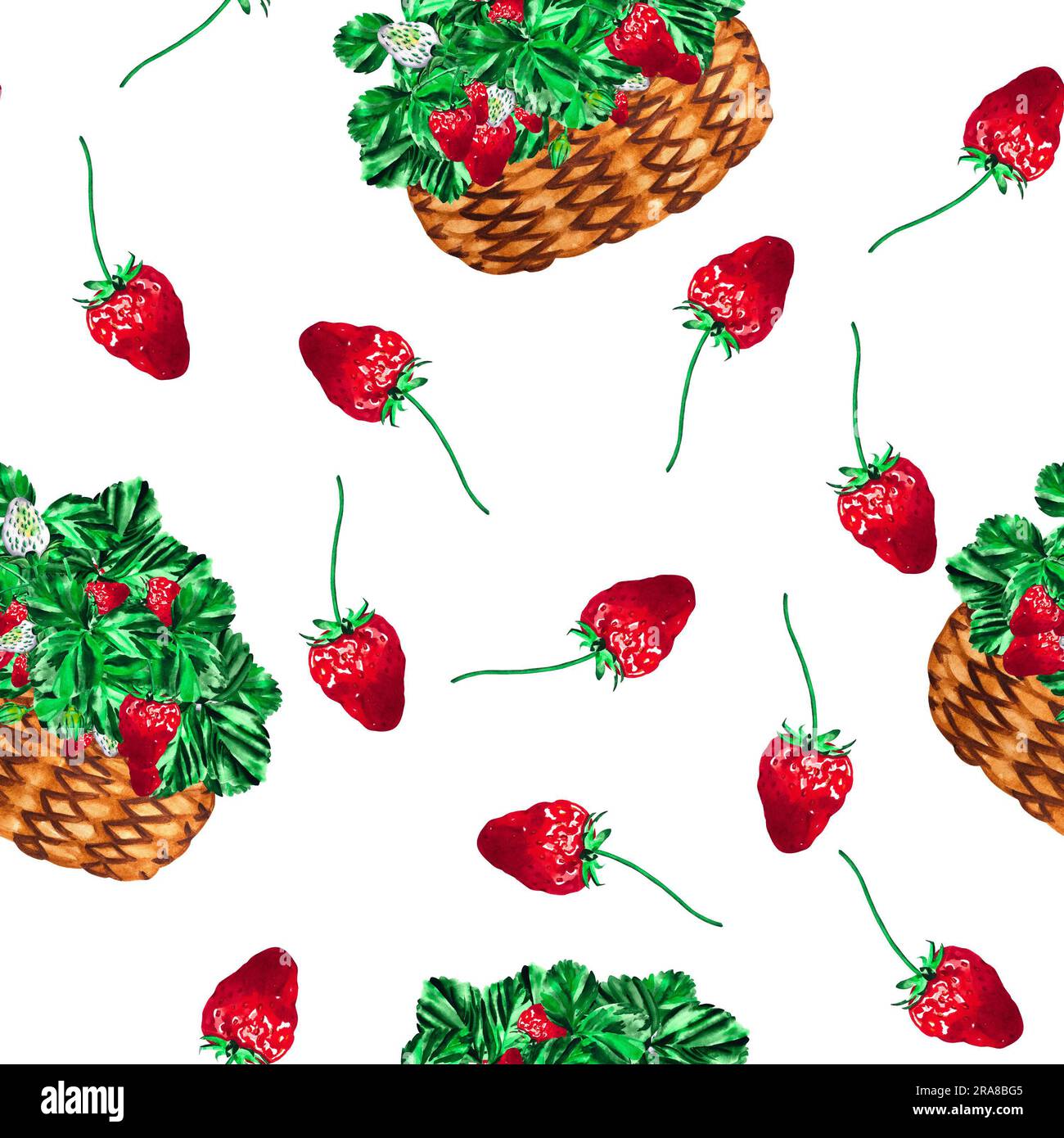 Victoria's basket. Seamless pattern. Watercolor botanical illustration ...