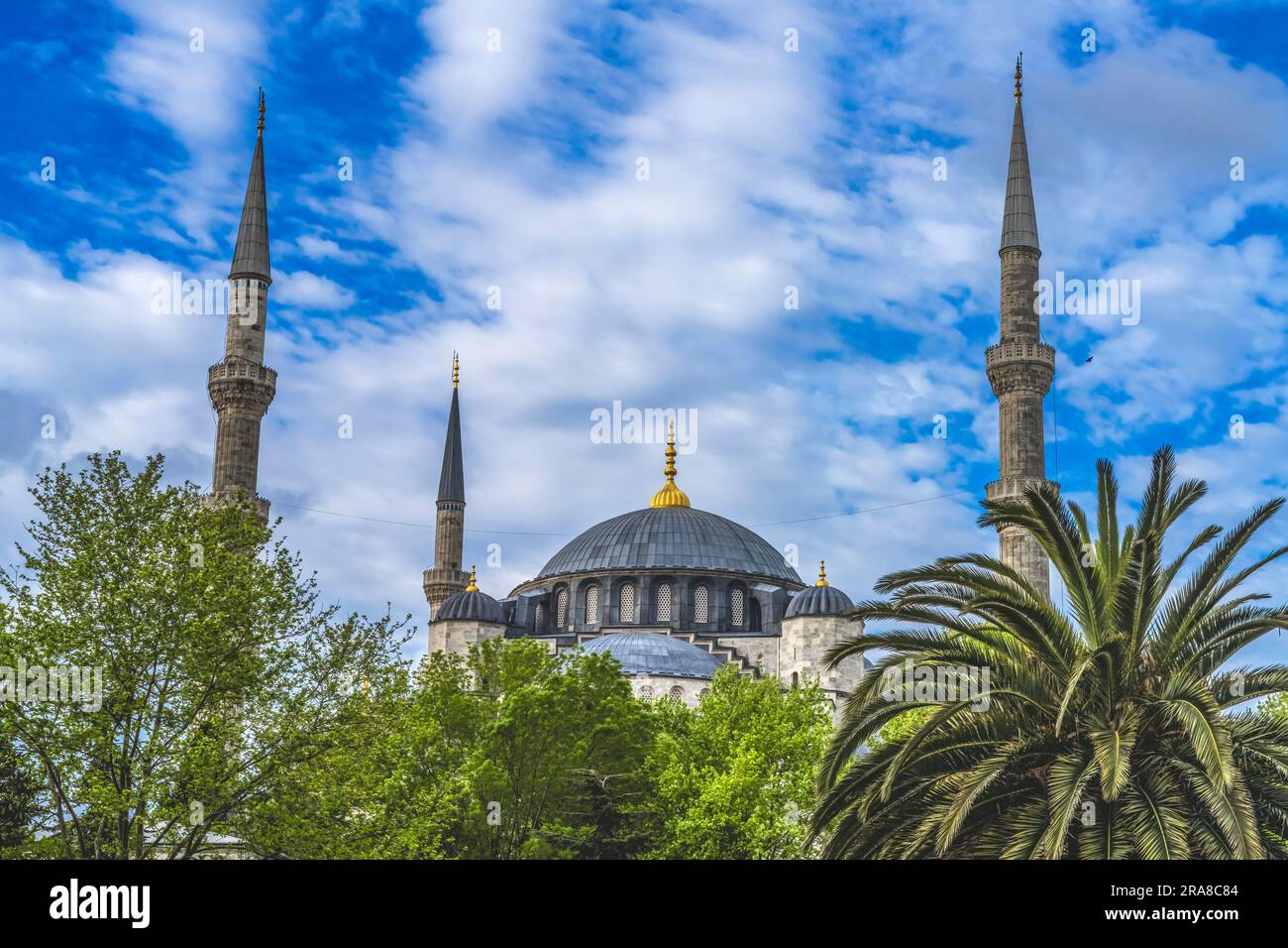 Blue Mosque Green Trees Istanbul Turkey. Blue Mosque or Sultan Ahmed ...
