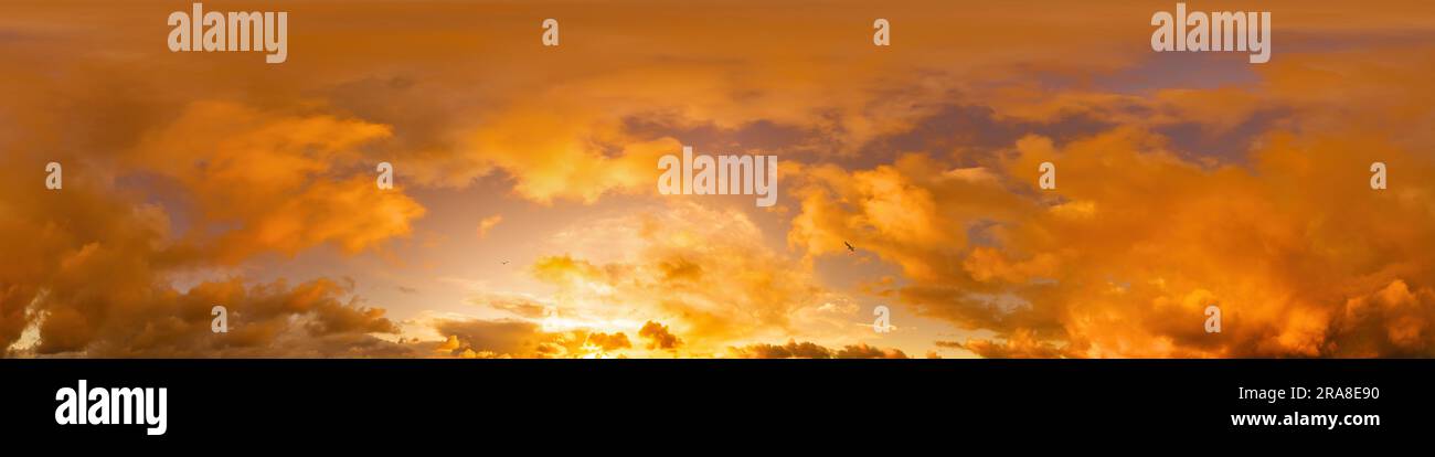 Sunset sky panorama with dramatic bright glowing pink Cumulus clouds ...