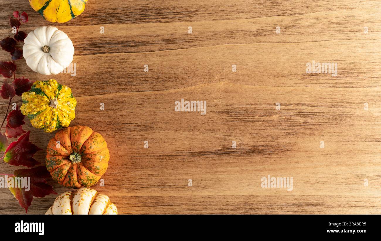 Cornucopia empty hi-res stock photography and images - Alamy