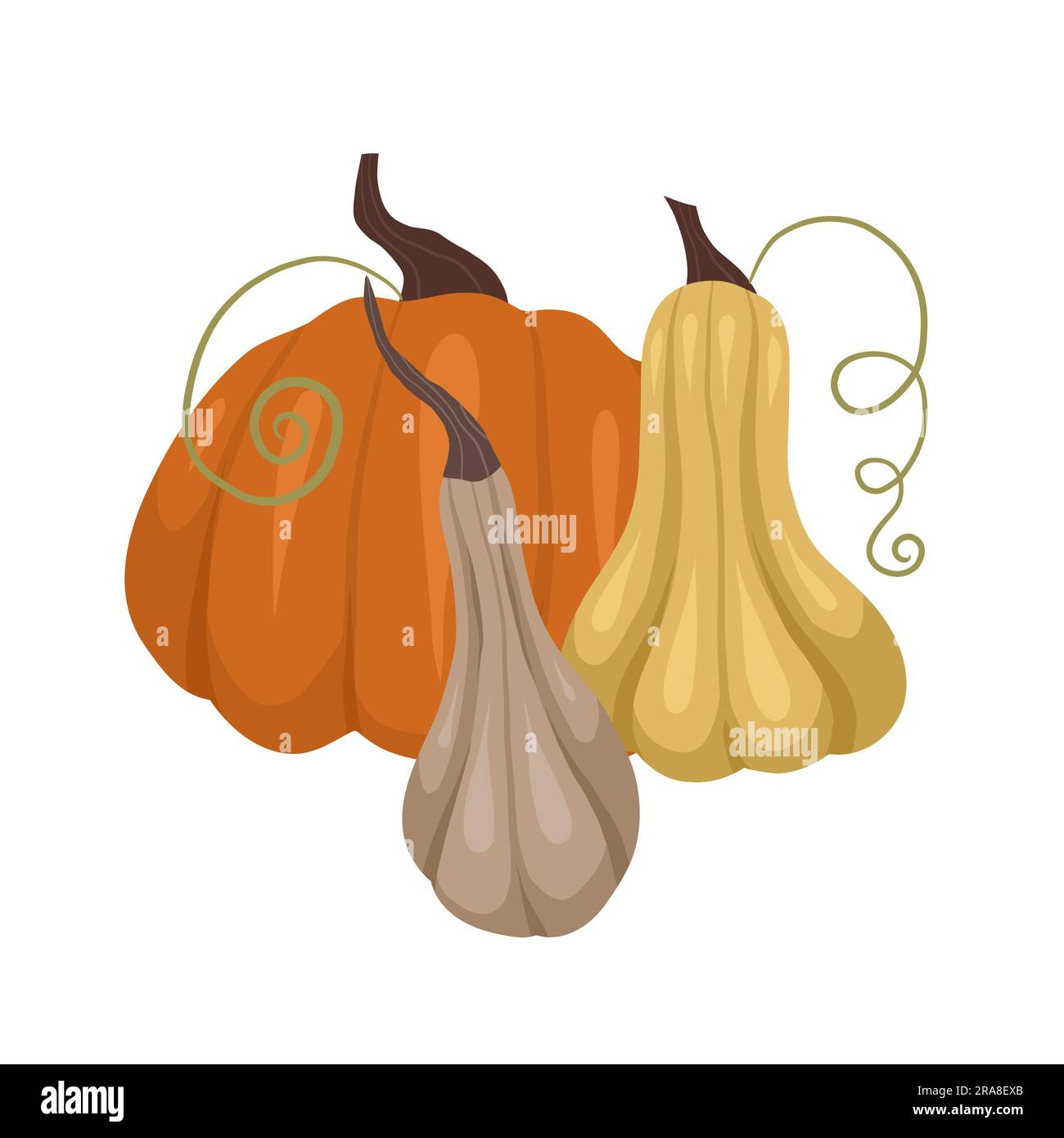 Vector autumn clipart pumpkins isolated from background. Cozy flat hand ...