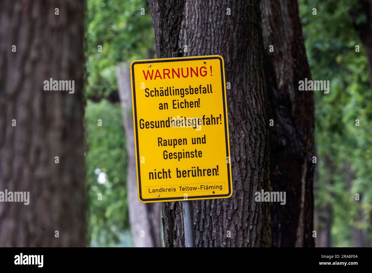 Oak processionary moth warning sign hi-res stock photography and images ...