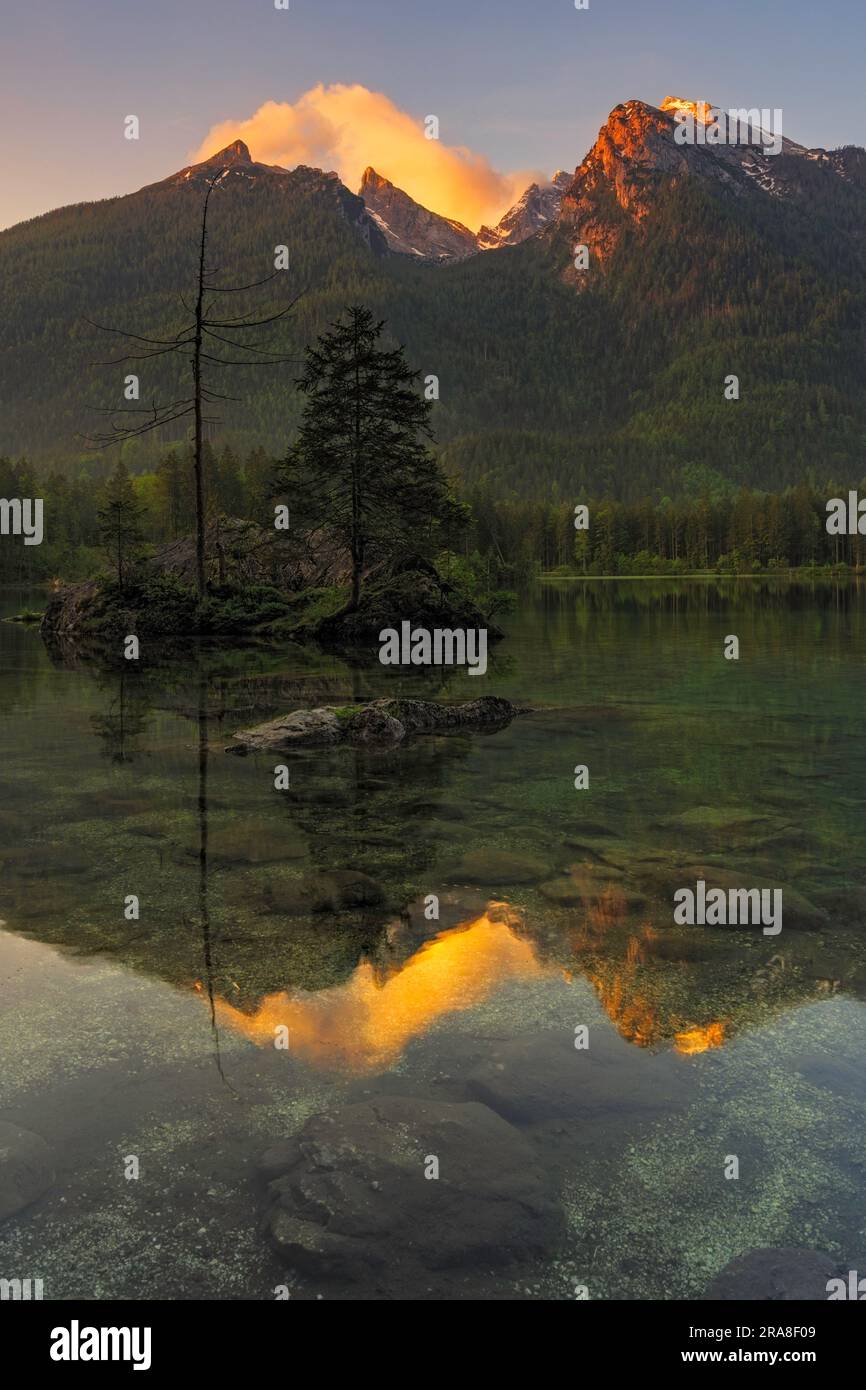 Sunrise at Hintersee, the Watzmann is reflected in Hintersee, at the ...