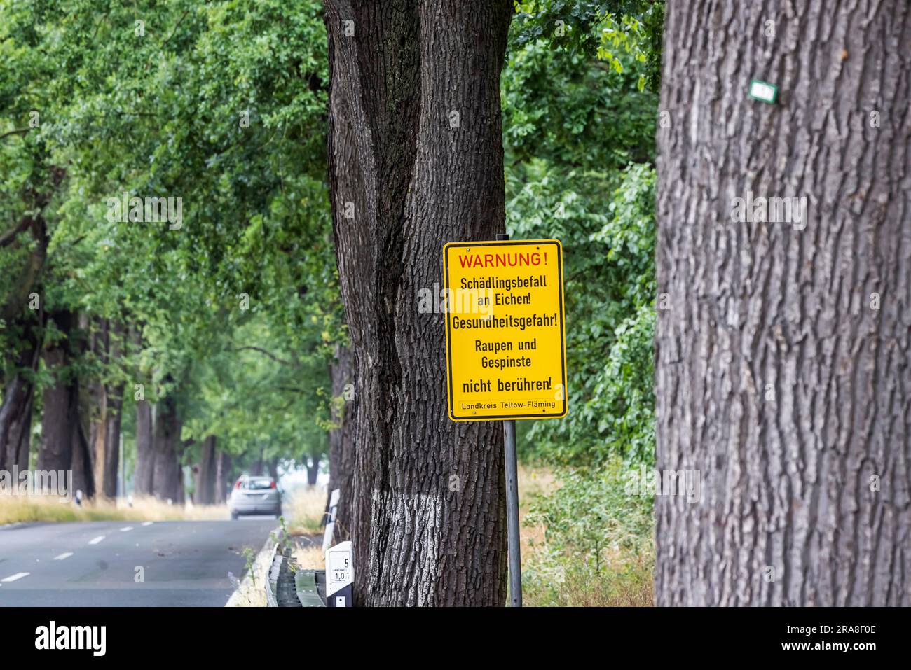 Oak processionary moth warning sign hi-res stock photography and images ...