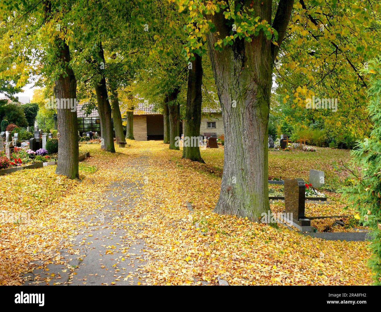 Tree lined cemetery hi-res stock photography and images - Alamy