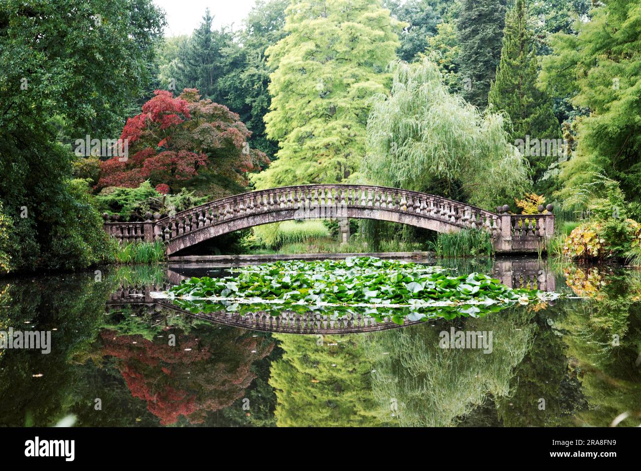 Water lily bridge hi-res stock photography and images - Alamy
