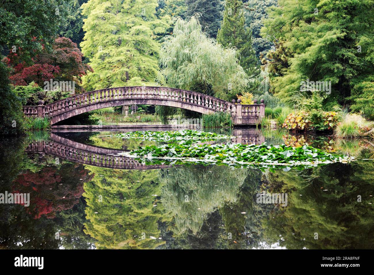 Water lily bridge hi-res stock photography and images - Alamy