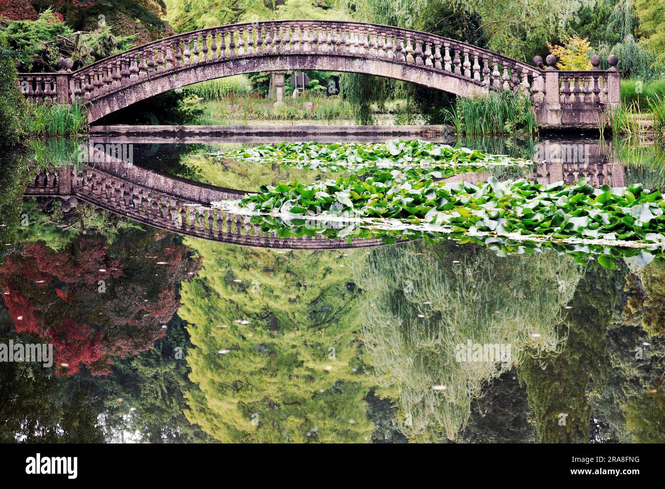 Water lily bridge hi-res stock photography and images - Alamy