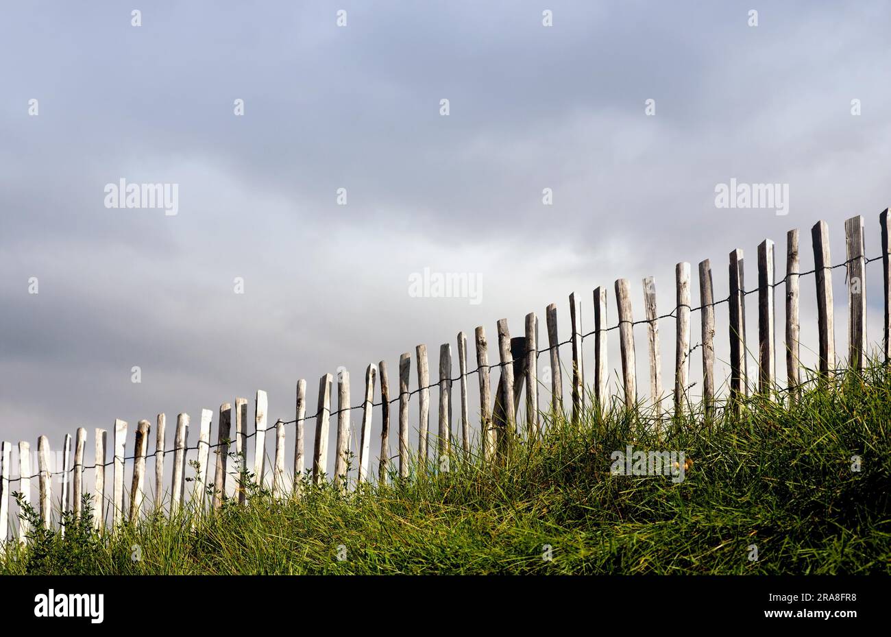 Ground upwards hi-res stock photography and images - Alamy
