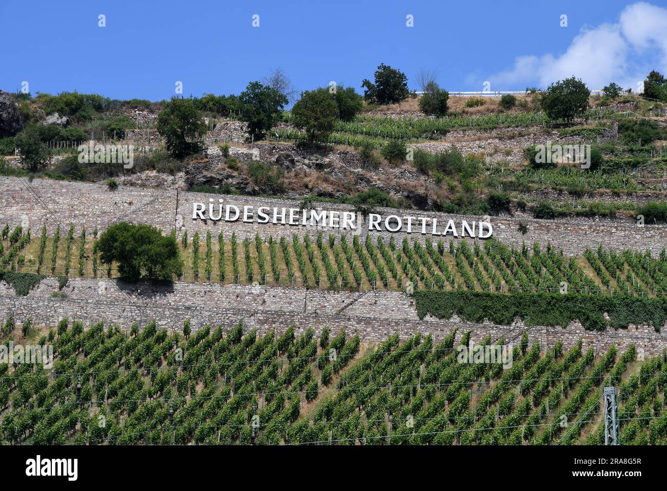 Rudesheim red land hi-res stock photography and images - Alamy