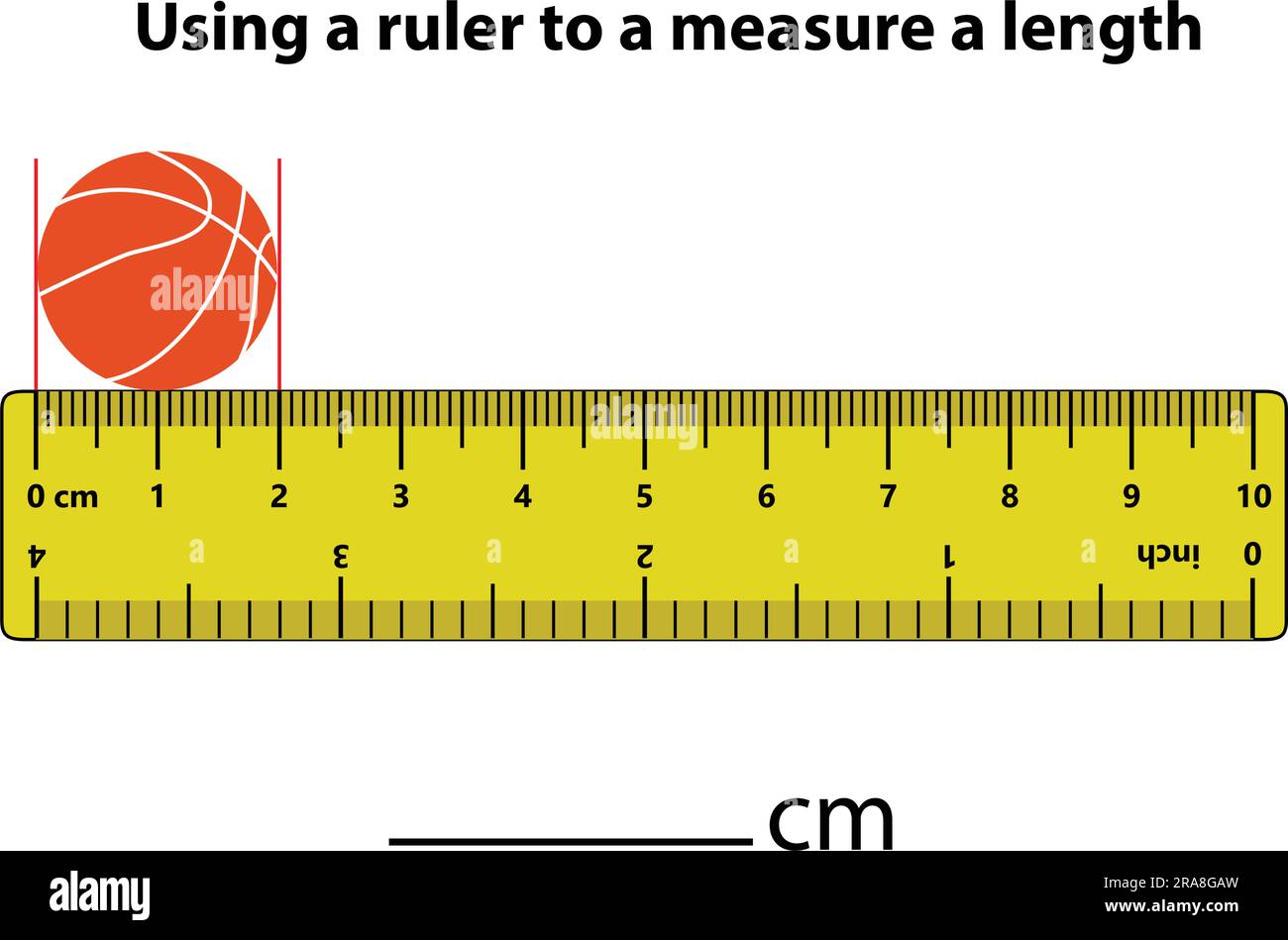 Measuring length in centimeters with the ruler. Education developing ...