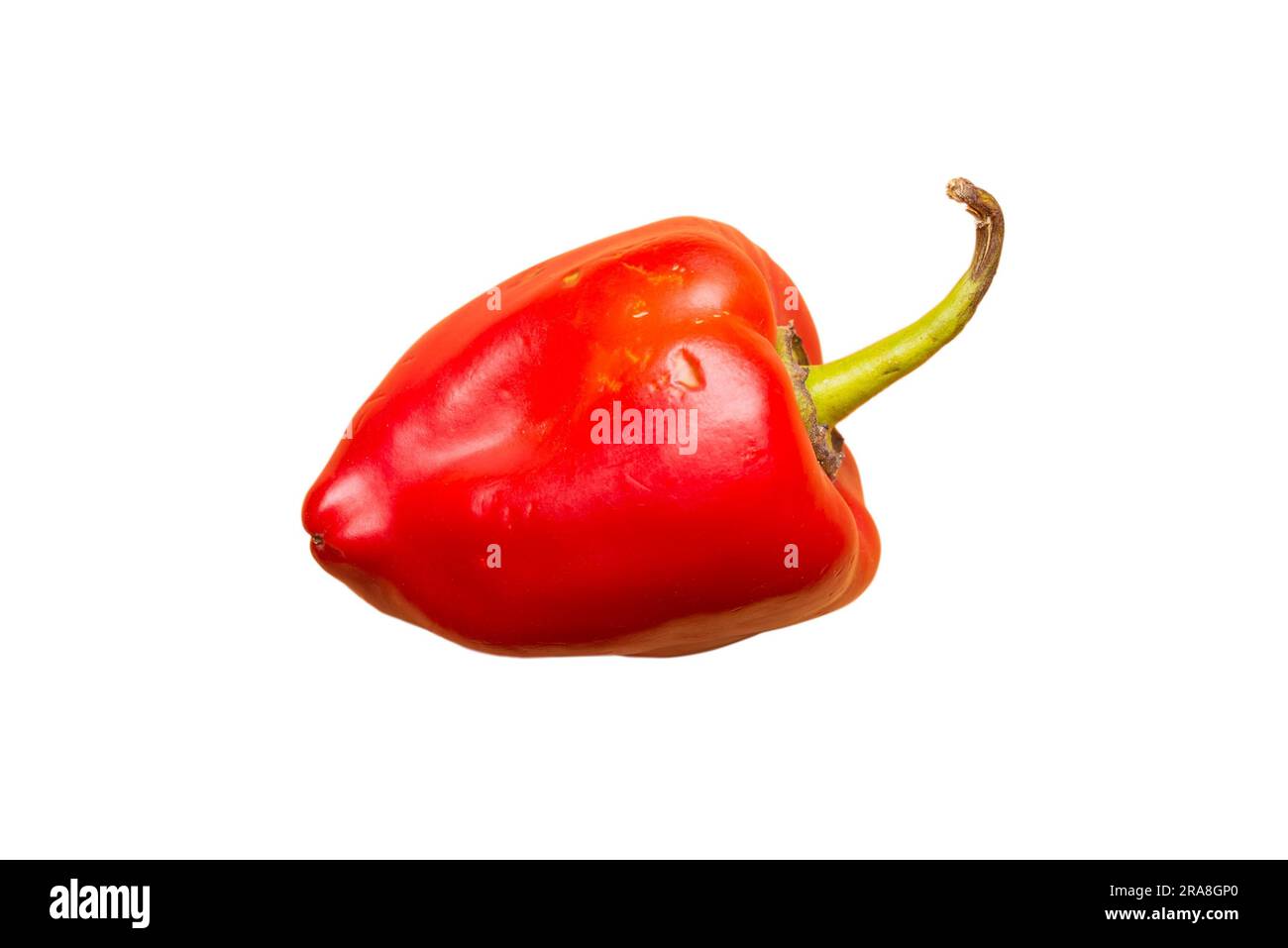 Natural light bell pepper plant hi-res stock photography and images - Alamy