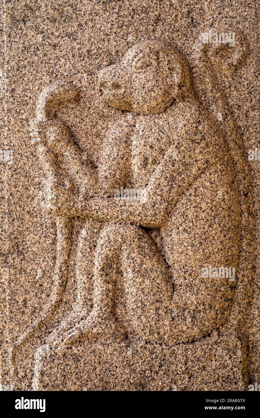 Monkey with Cobra in a column in the pillared hall in front of ...