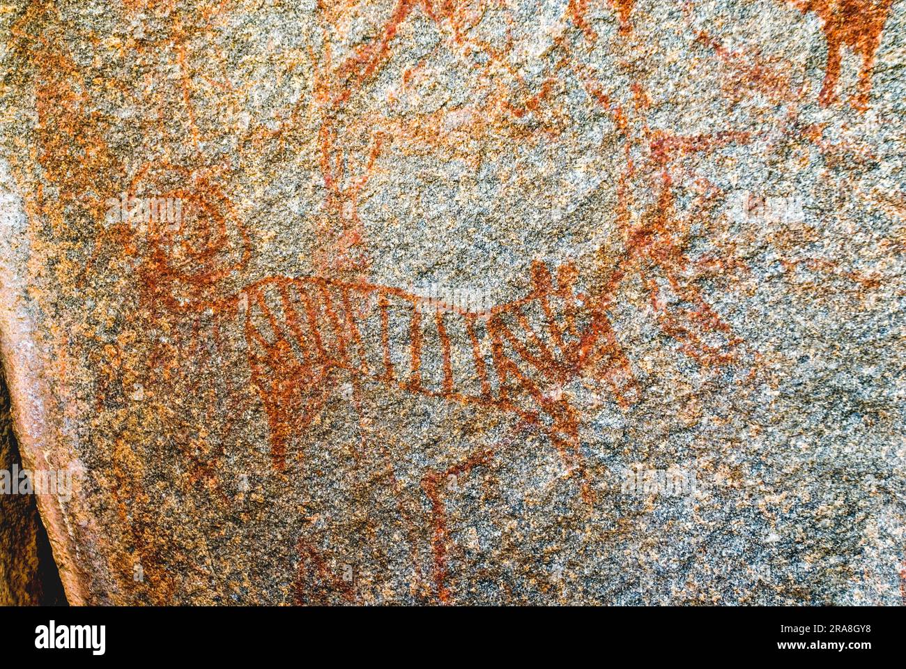 Horse Prehistoric Rock Paintings near Shri Vijayavitthala Temple in ...