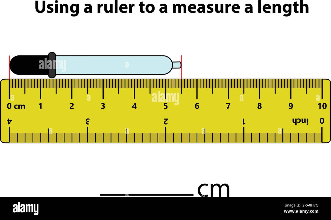 Measuring length in centimeters with the ruler. Education developing ...