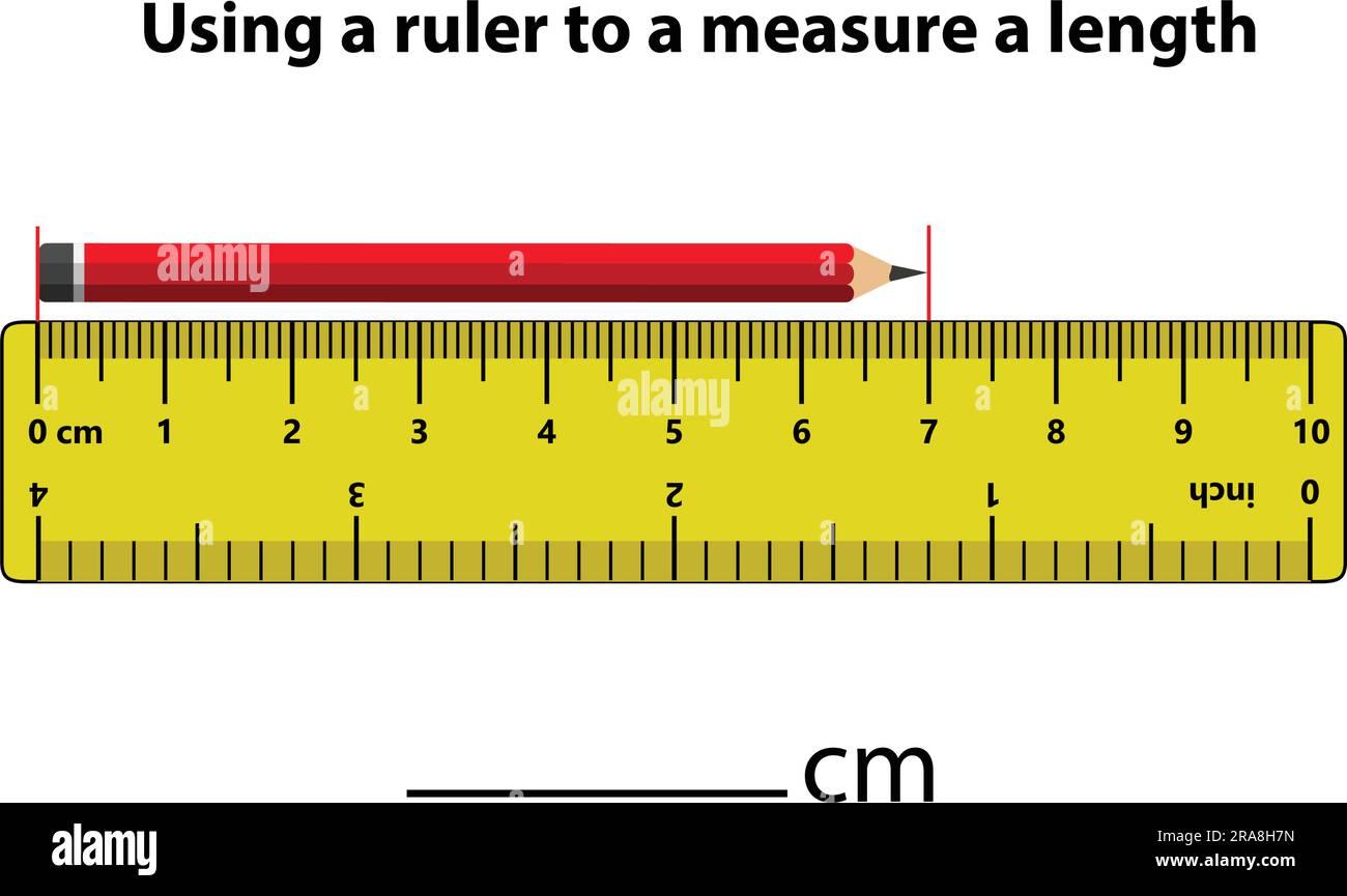 Measuring length in centimeters with the ruler. Education developing ...