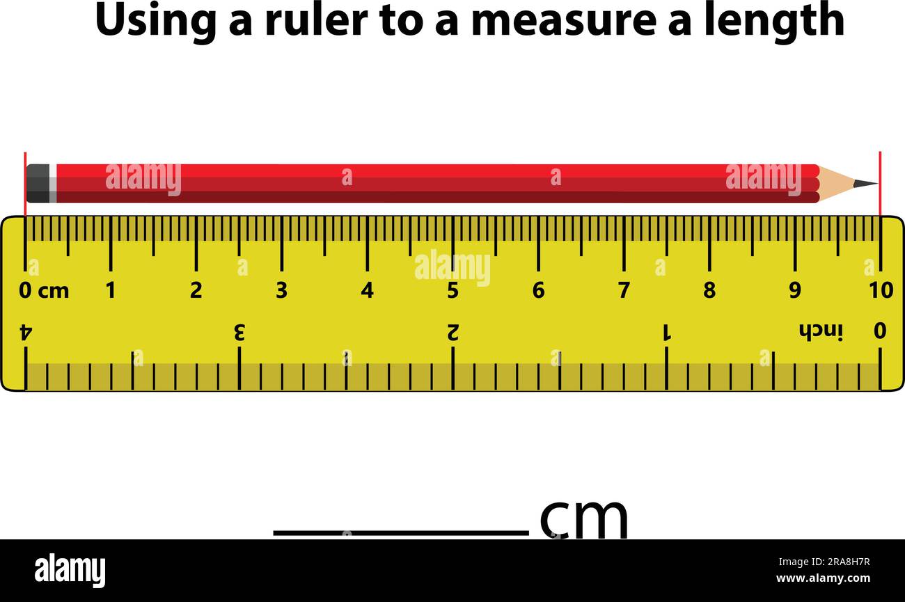 Measuring length in centimeters with the ruler. Education developing ...