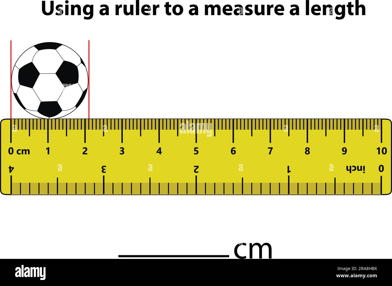 Measuring length in centimeters with the ruler. Education developing ...