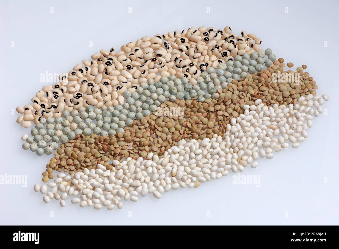 Brown lentils (Lens esculenta), white common bean (Phaseolus vulgaris ...