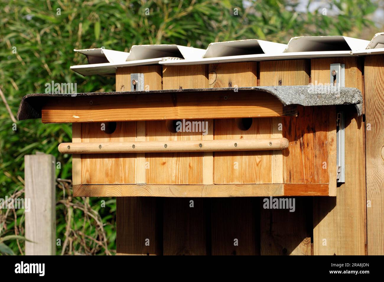 House sparrow nest box hi-res stock photography and images - Alamy