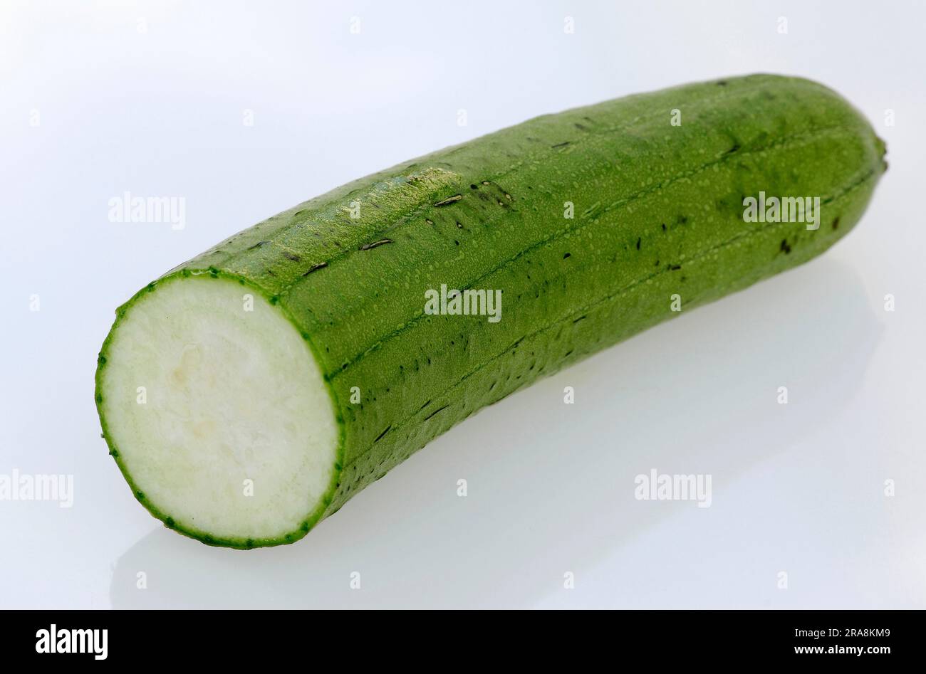 Smooth loofah, Dishcloth gourd, Vegetable dishrag gourd (Luffa ...