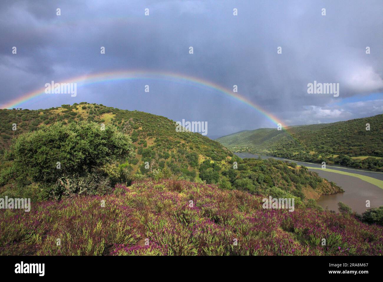 Rainbow over the Tagus, Tagus National Park, Portugal Stock Photo - Alamy