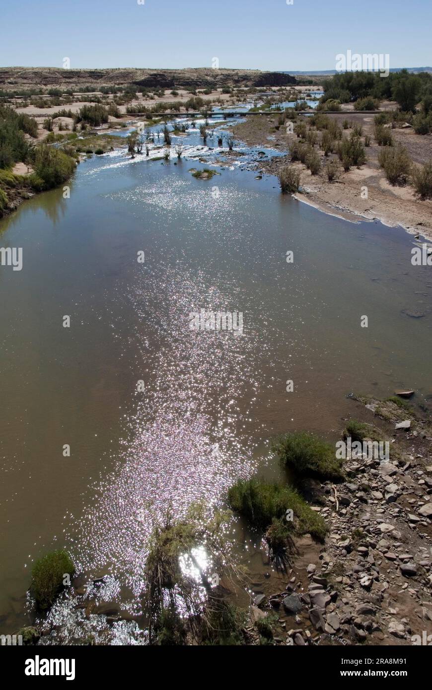 River fish, Seeheim, Namibia Stock Photo - Alamy