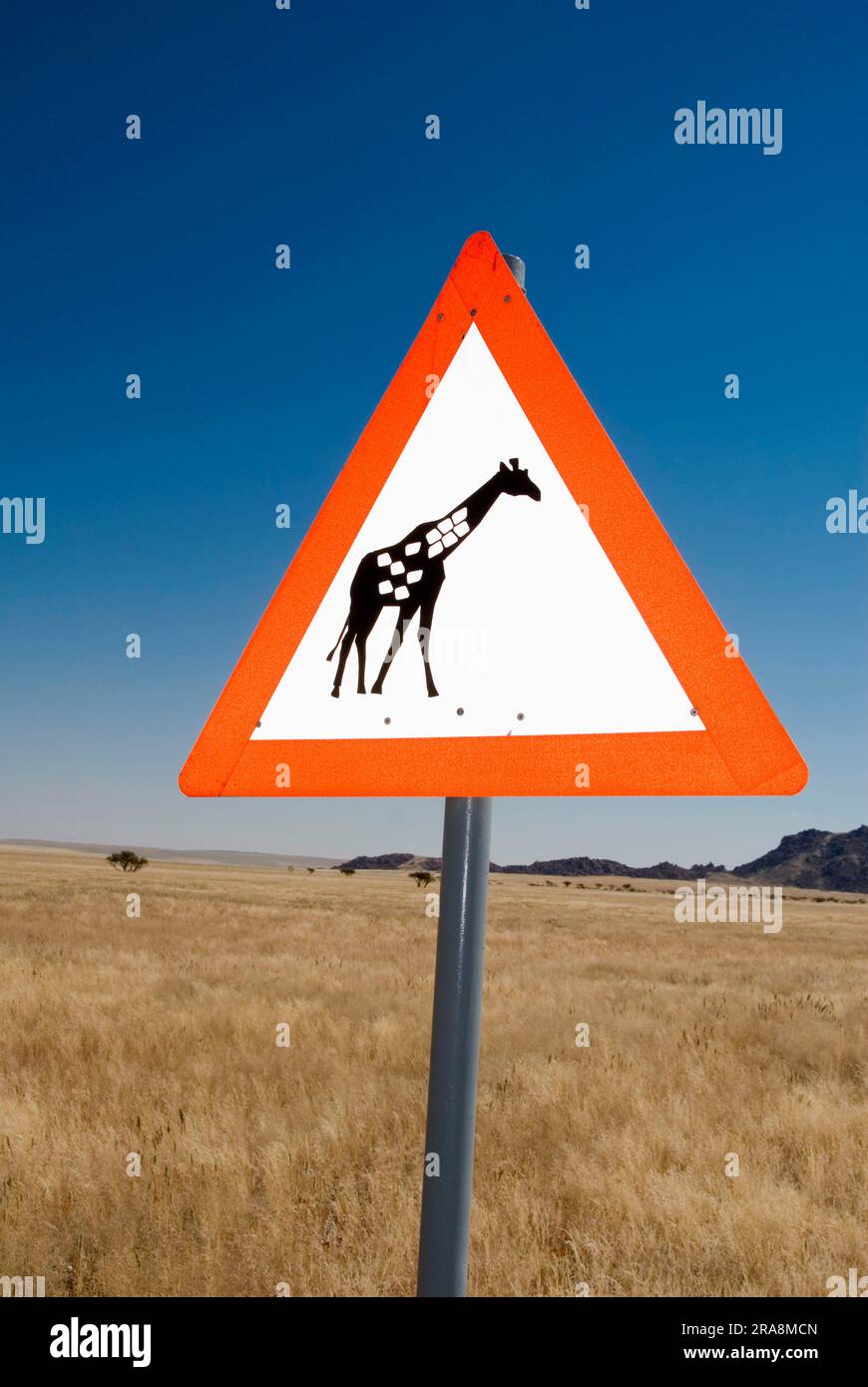 Traffic sign 'Attention Giraffes', Namibia Stock Photo - Alamy
