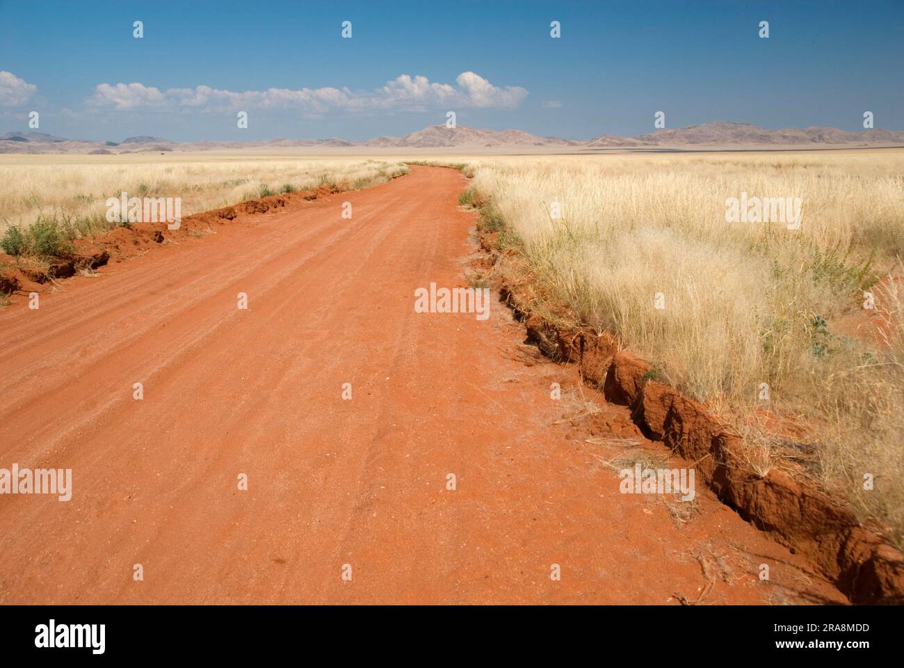 Sand road to Purros, D3707, Namibia Stock Photo - Alamy