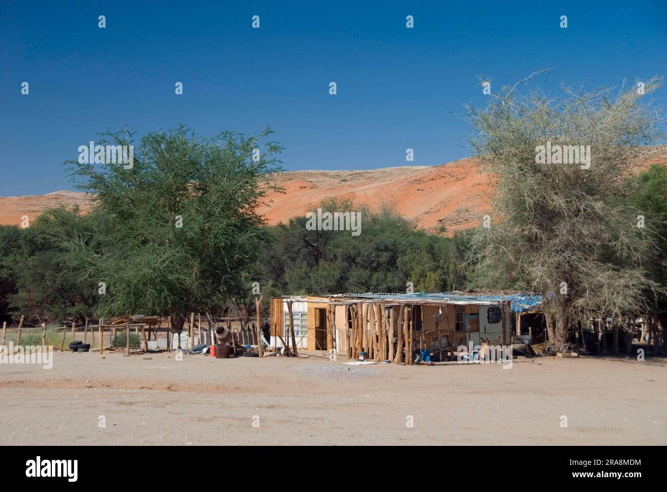 Topnaar-Nama hut, Namib Naukluft Park, Namibia Stock Photo - Alamy
