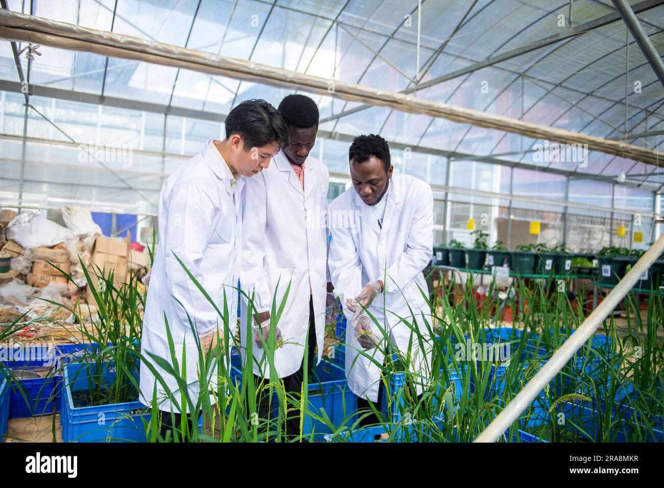 (230702) -- CHANGSHA, July 2, 2023 (Xinhua) -- Aguwa Dominic Ugochukwu ...