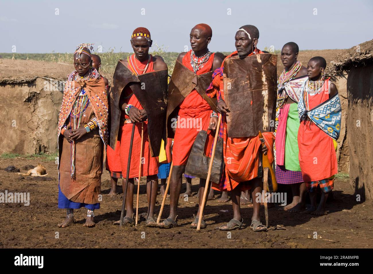 Maasai, traditional presentation of the bride, Maasai Mara, Kenya Stock ...
