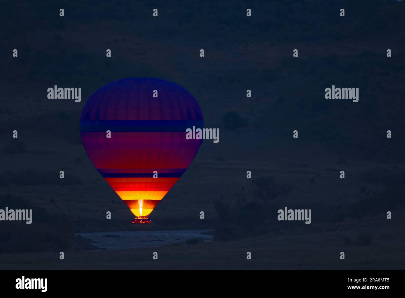 Early morning hot air balloon, Masai Mara National Park, Kenya, balloon ...