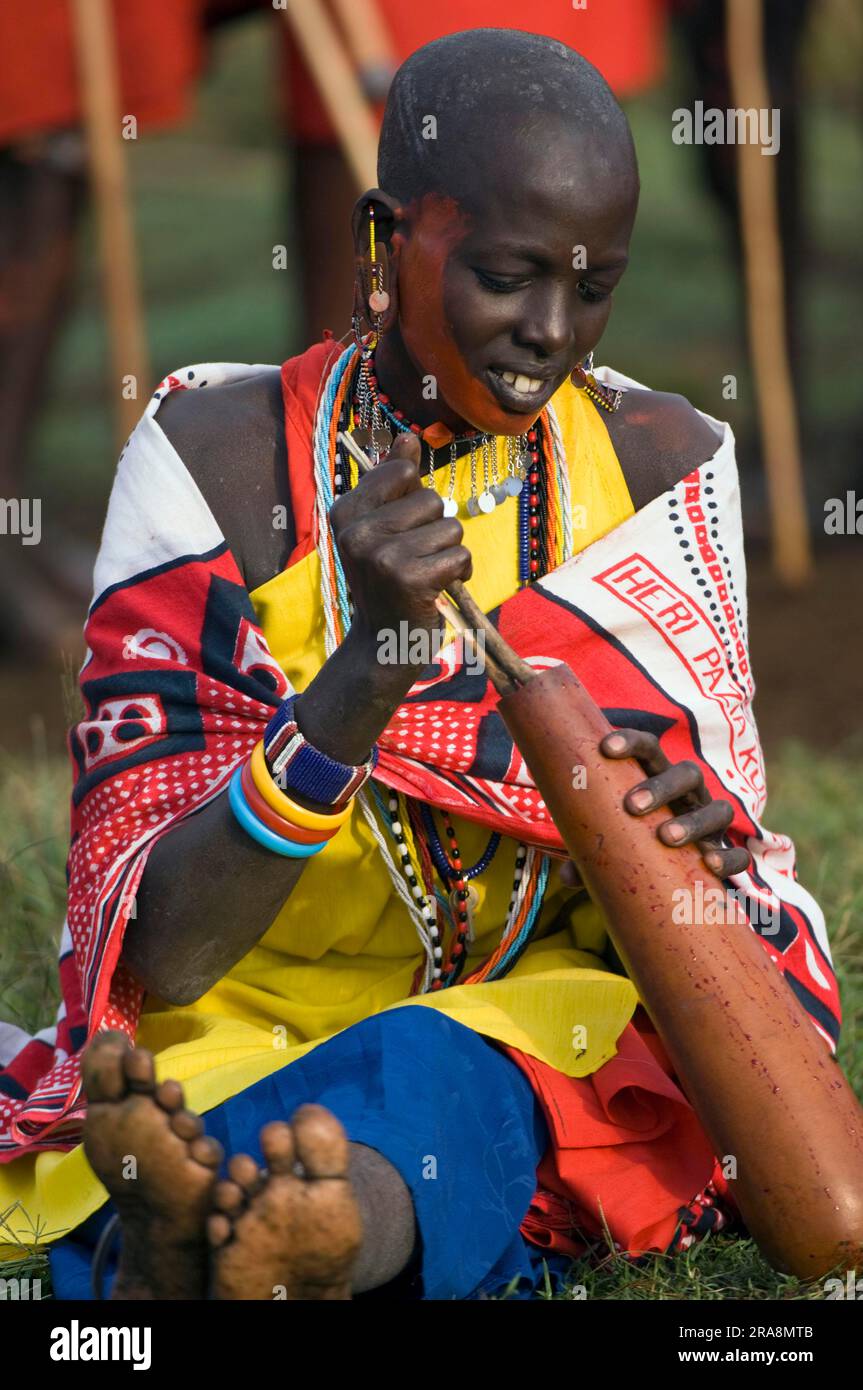 Maasai woman prepares drink from milk and blood, Maasai Mara, Kenya ...