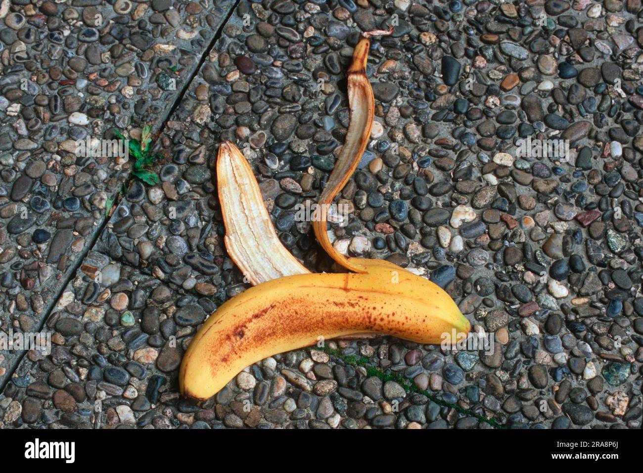Banana skin on pavement, sidewalk Stock Photo - Alamy