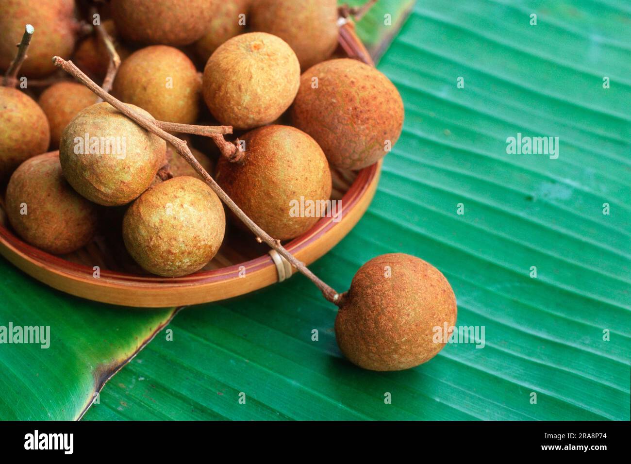 Dragon eye fruits (Nephelium Longana), longyen, lungan Stock Photo - Alamy