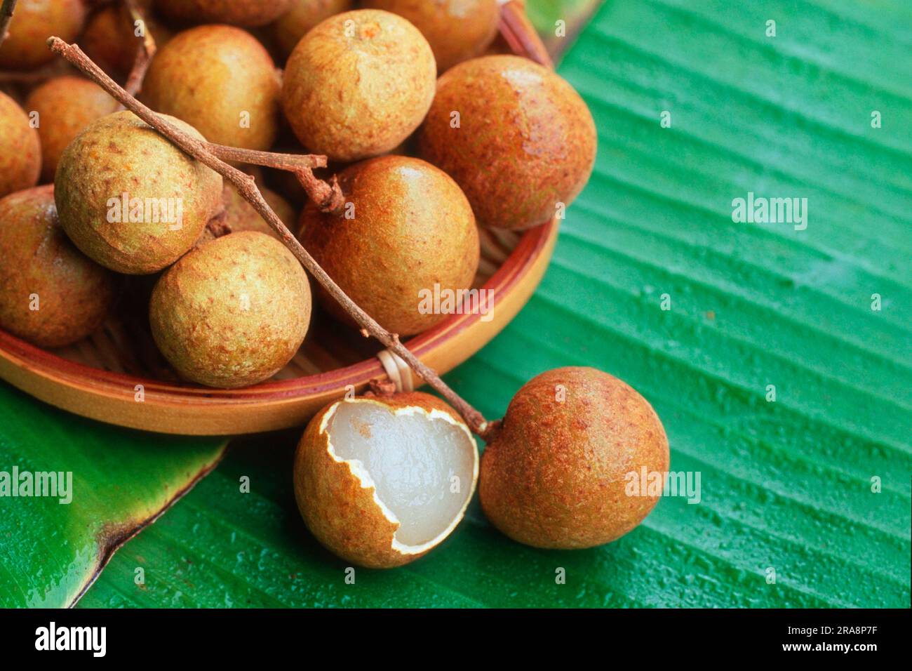 Dragon eye fruits (Nephelium Longana), longyen, lungan Stock Photo - Alamy