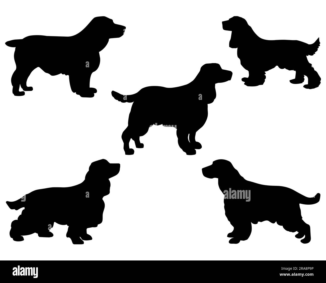Set of Cocker Spaniel Dog Silhouette Stock Vector Image & Art - Alamy